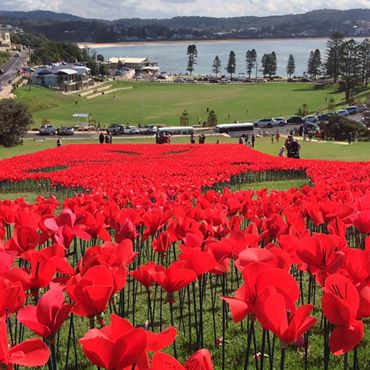 Terrigal Day - CWA Northumberland Group